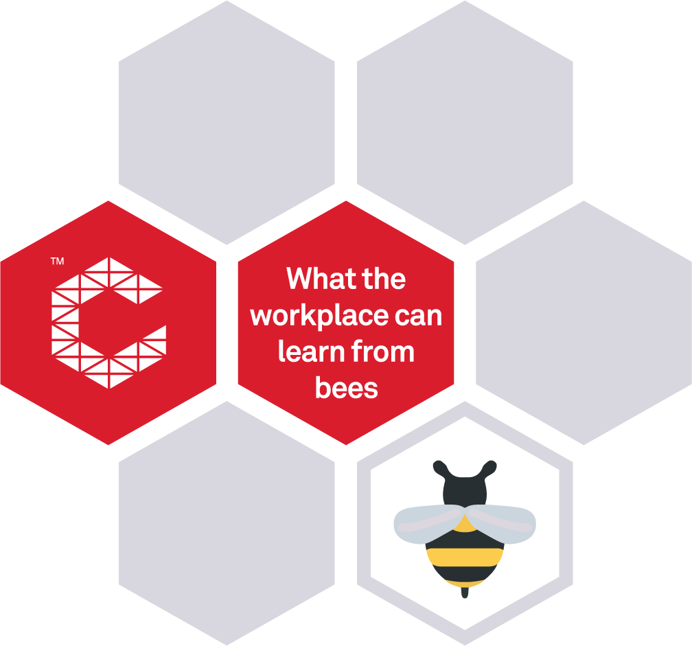 9 Facts The Workplace Can Learn From Bees
